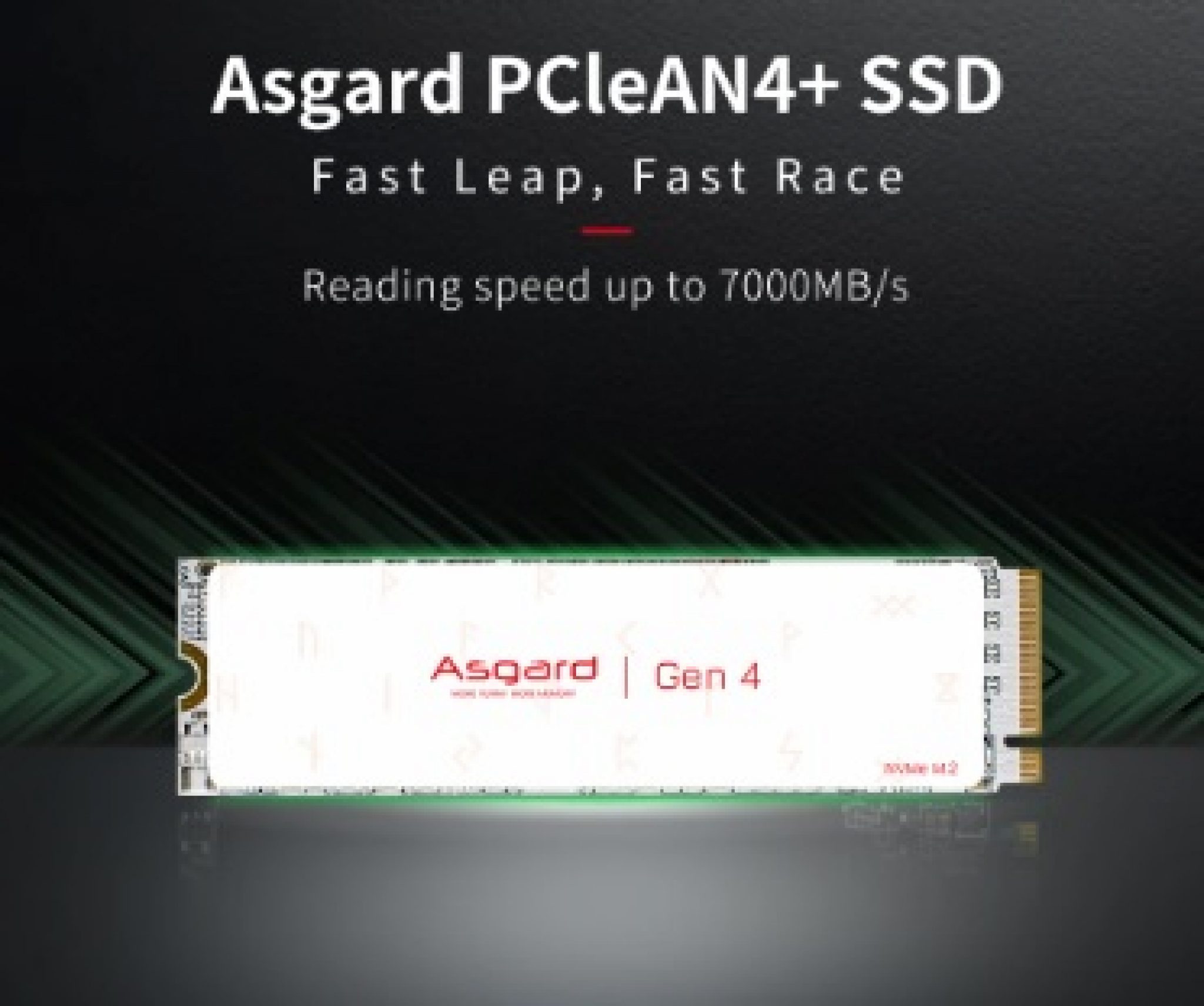 SSD Asgard AN4 Plus NVME GEN4 7000MB/s 1TB - Boletando